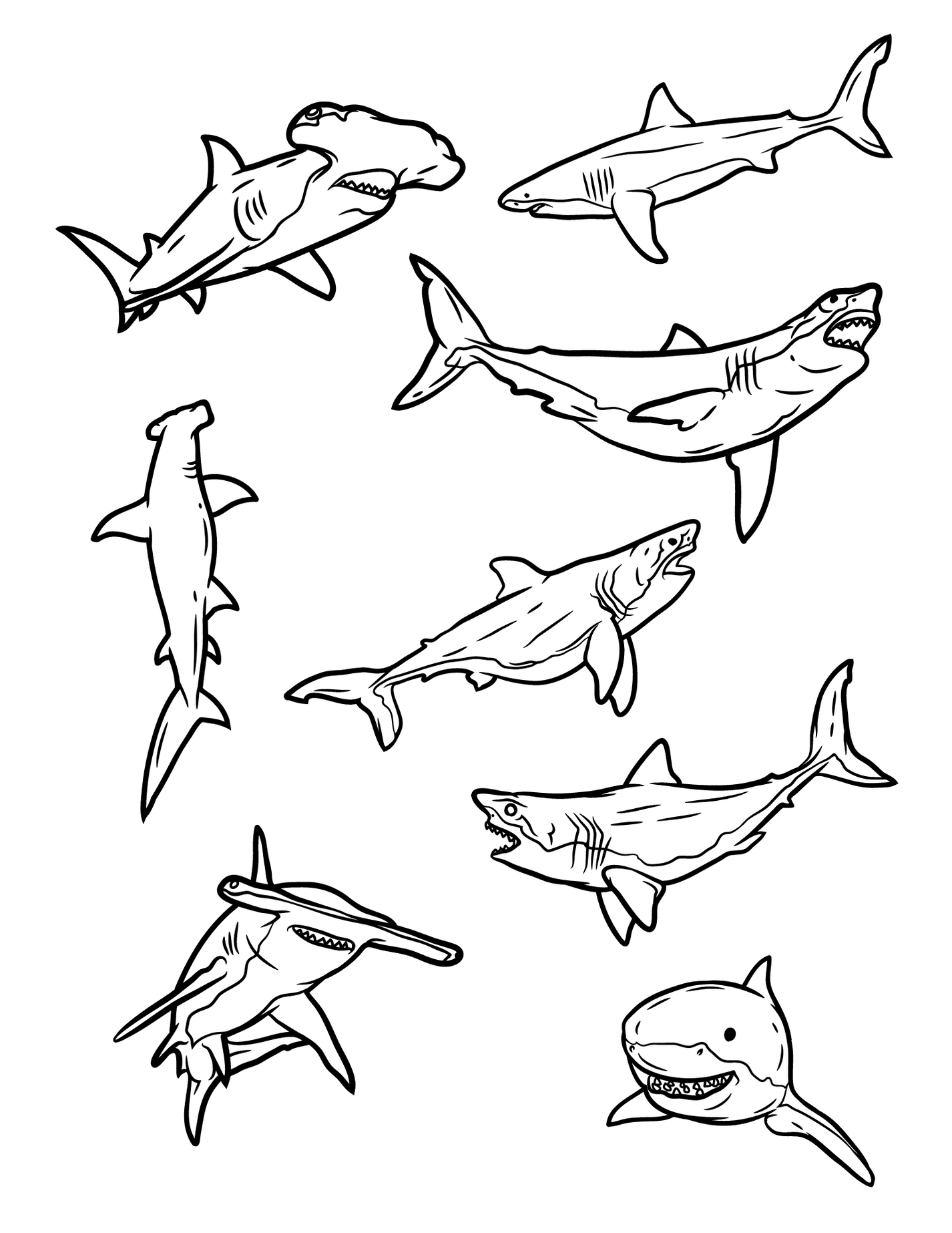 Shark Week bundle | Printable Bundle – The Letter Vee